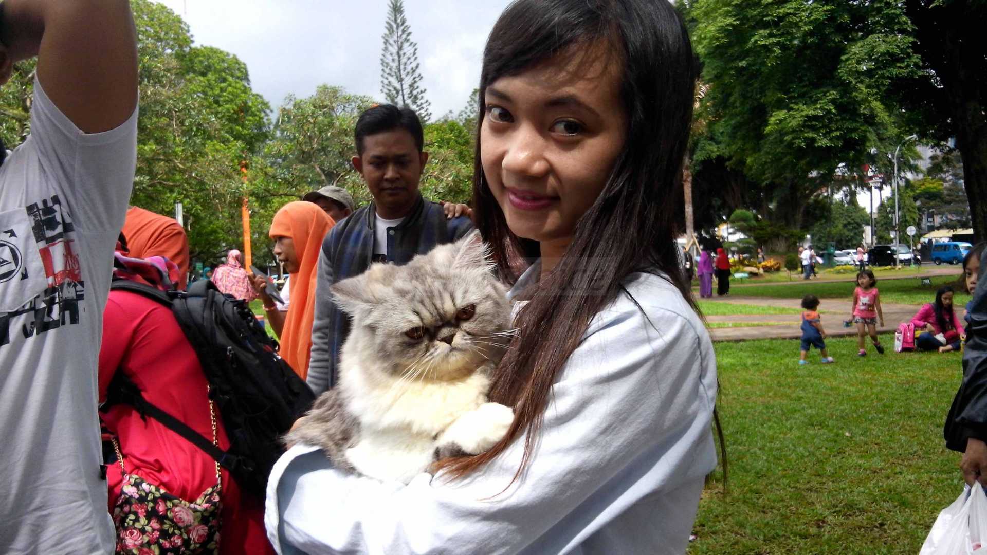 Ini Dia Malang Cat Lovers, Markasnya Pecinta Kucing! - MalangVoice