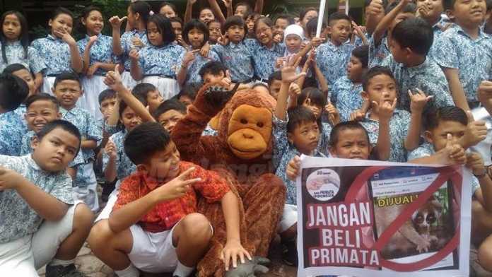 Kenakan Kostum Monyet, Profauna Kenalkan Berbagai Macam Primata Langka ...