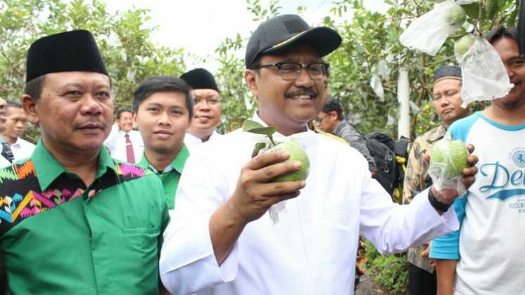 Safari Politik, Gus Ipul Ajak Pemuda Jadi Petani Milenial - MalangVoice Safari Politik, Gus Ipul Ajak Pemuda Jadi Petani Milenial - MalangVoice