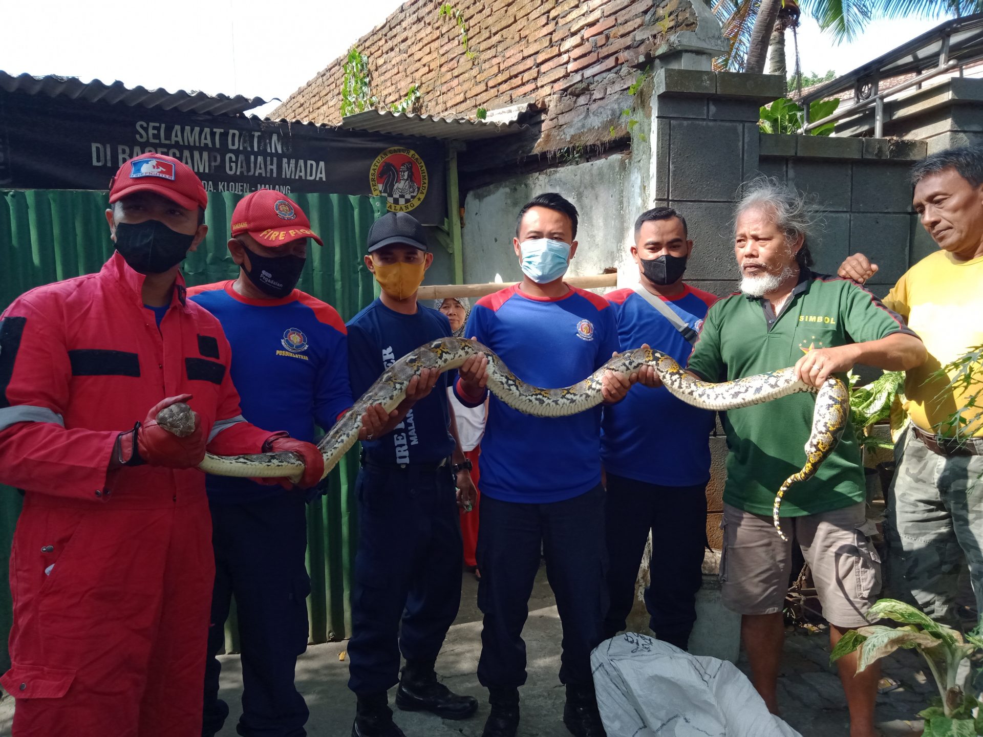 Warga Heboh, Ular Python 3 Meter Muncul dari Selokan Warung - MalangVoice
