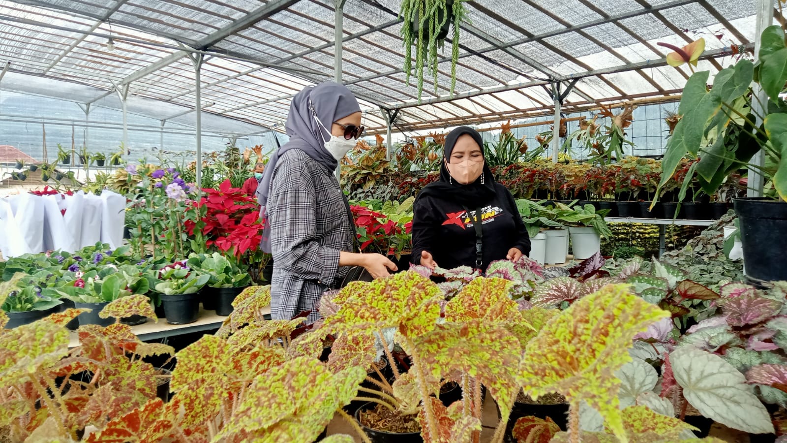 KJRI Penang Berjelajah di Jawa Timur, Informasi Pariwisata Kota Batu ...